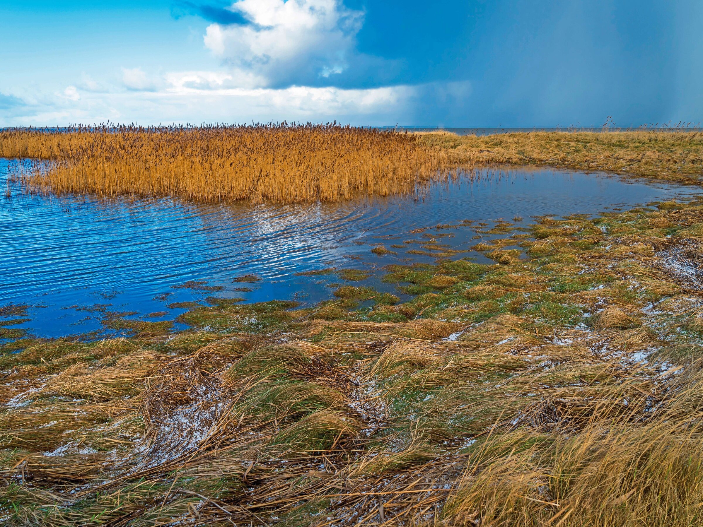 Île d’Amrum – Plages de rêve & paradis naturel | railtour.ch