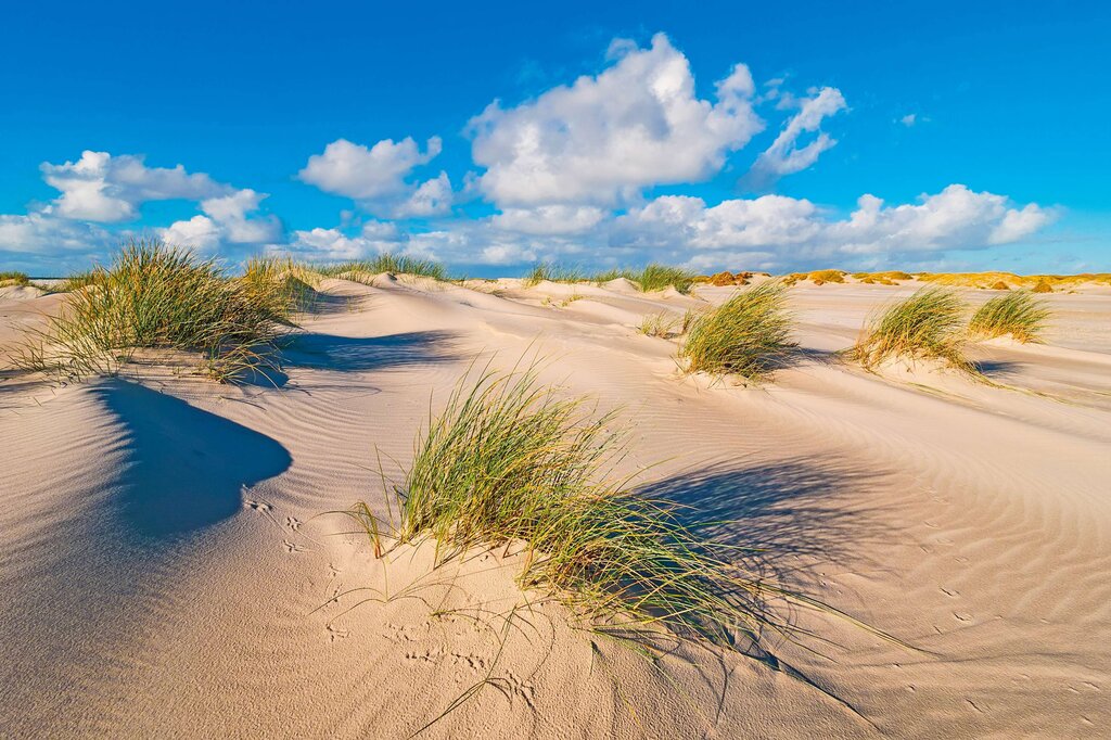 Insel Amrum | railtour - der Schweizer Zugreisespezialist